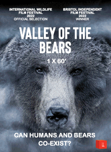 Studio Hamburg Rebrands as OneGate Media – VideoAge International